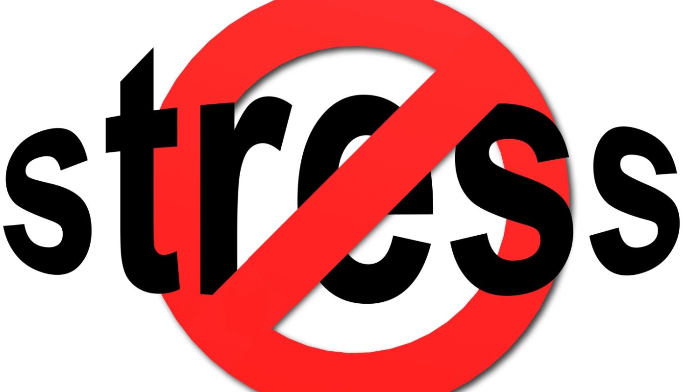 Stress as a Potential Driver for MASLD?